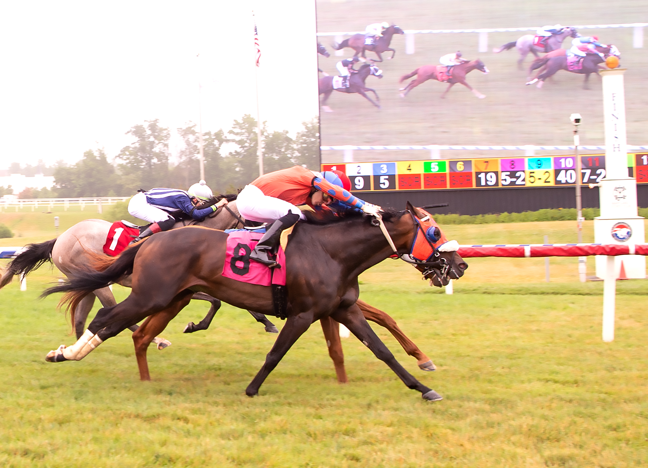 Country Life and Merryland Farms – From Beginning to Winning
